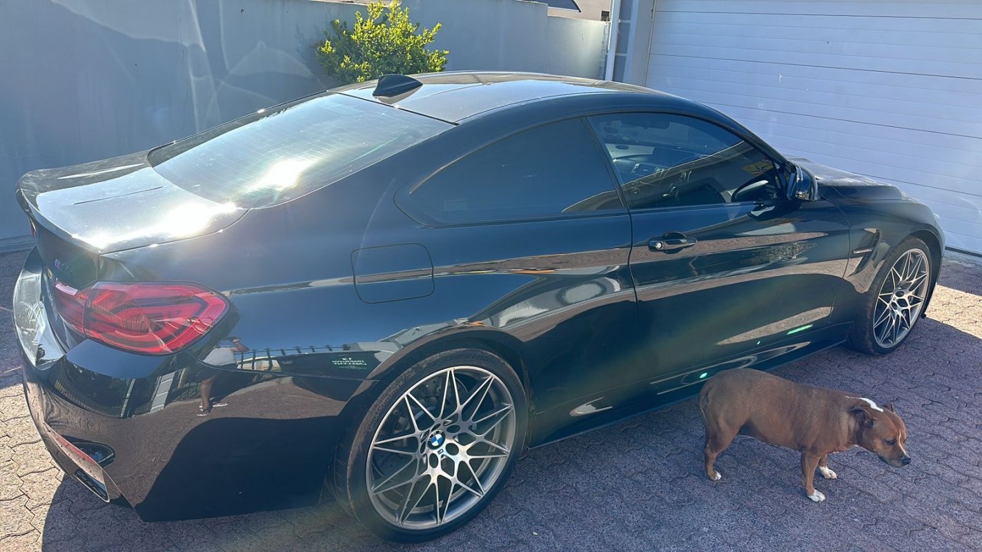 Back in a BMW - M4 | BMWFanatics