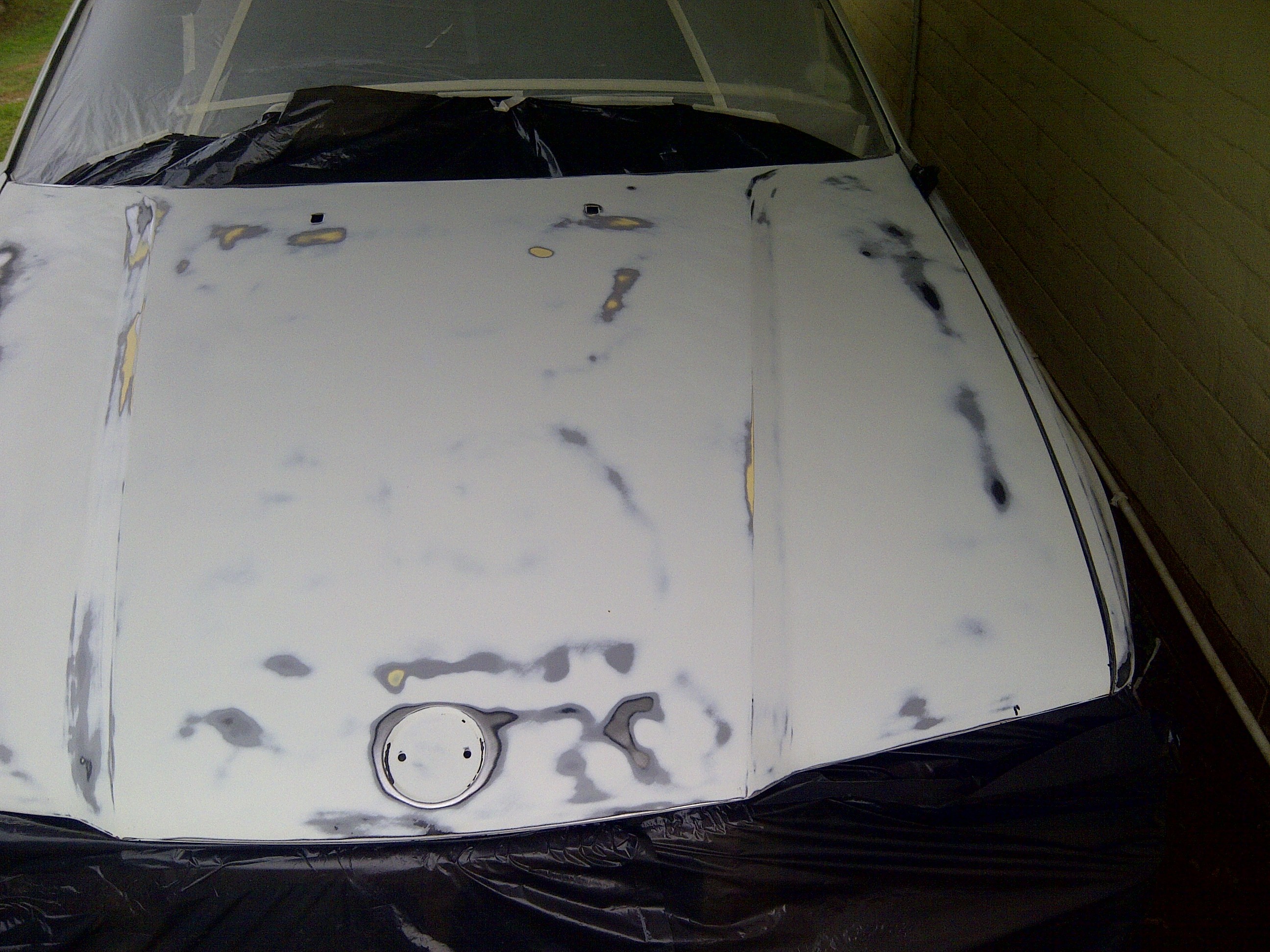 DIY same colour respray. | BMWFanatics