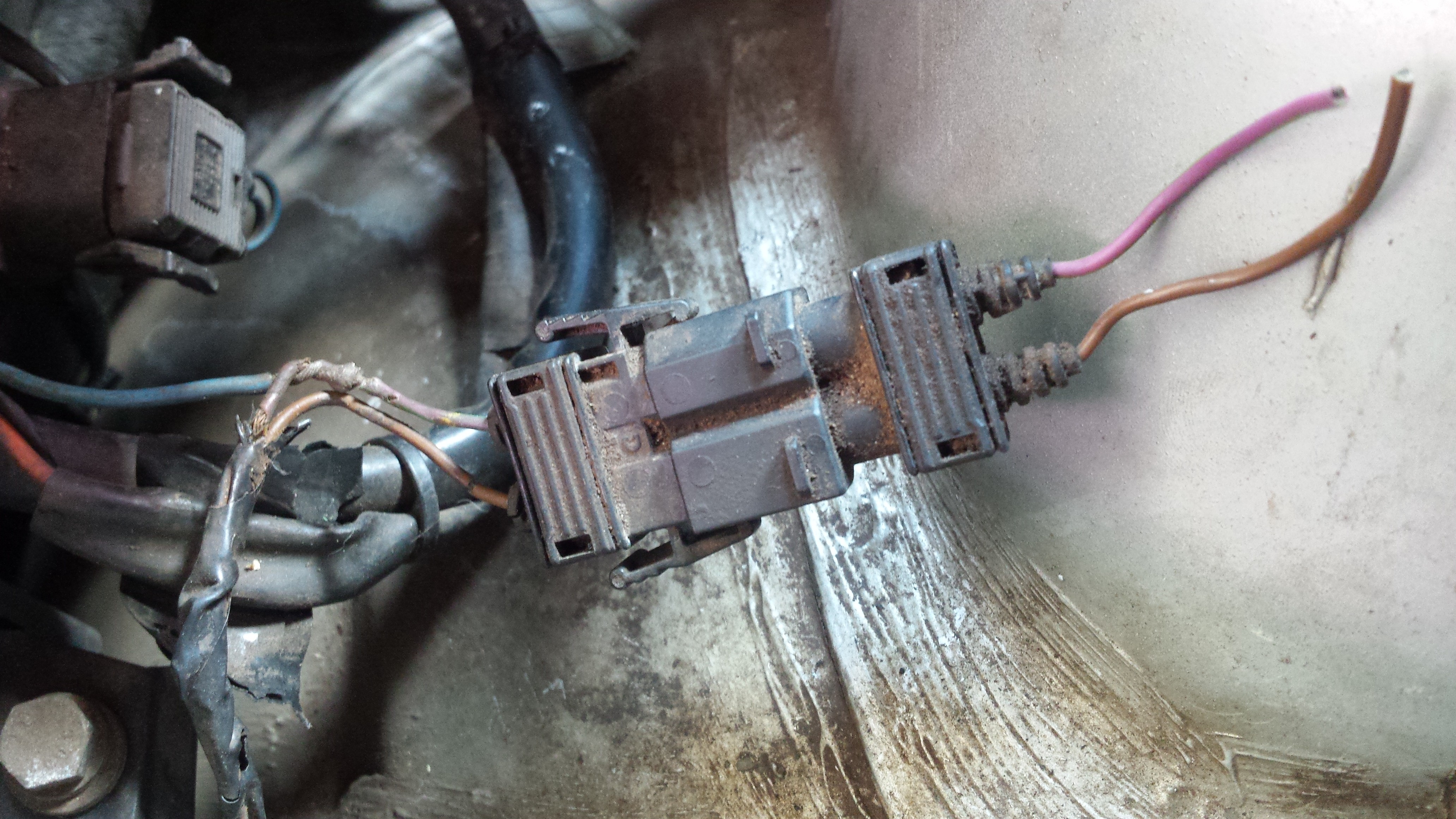 e36 random wire/connector identification | BMWFanatics